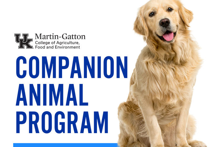 Survey to assess current companion animal work at UK | UKNow